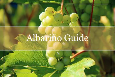 Albariño Wine 101 – Everything You Need to Know - WinePros