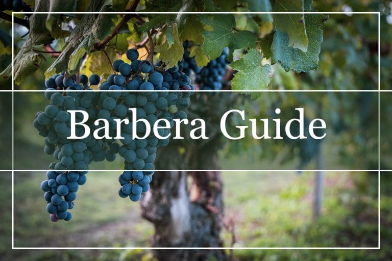 Your Essential Barbera Wine Guide - WinePros