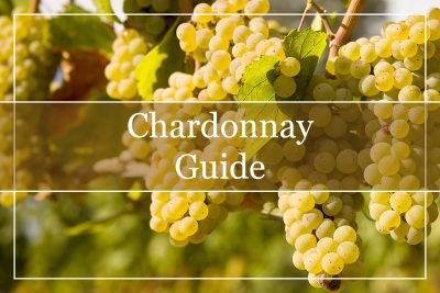 Your Essential Chardonnay Wine Guide - WinePros