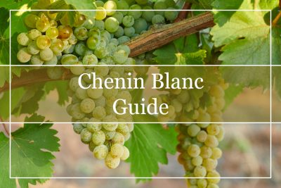 Your Complete Chenin Blanc Wine Guide - WinePros