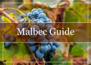 What is Malbec Wine? All You Need to Know - WinePros
