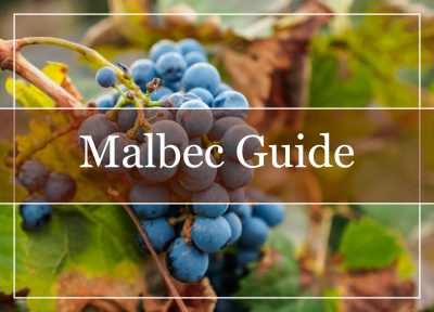 What is Malbec Wine? All You Need to Know - WinePros