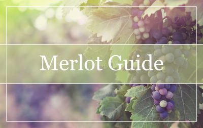 What is Merlot Wine? All You Need to Know - WinePros