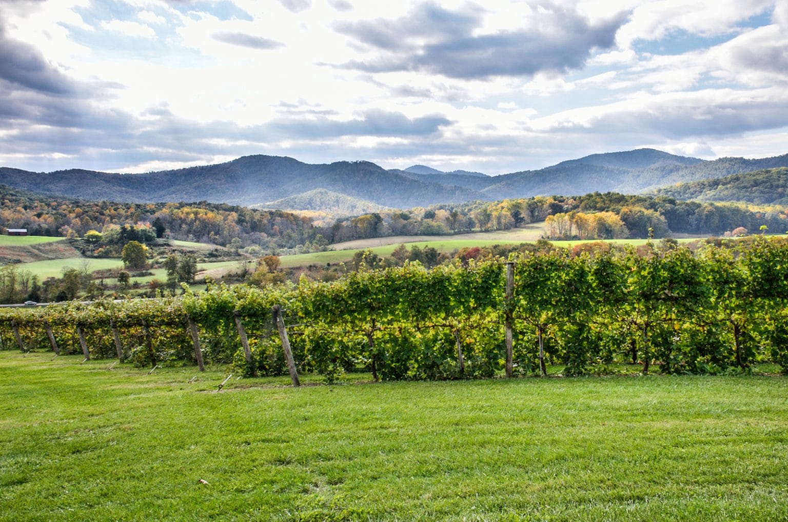 A Comprehensive Guide To Norton Wines - WinePros