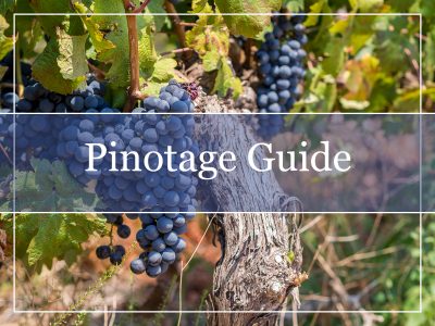 What is Pinotage Wine? All You Need to Know - WinePros