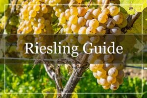 What You Should Know About Riesling Wine - WinePros