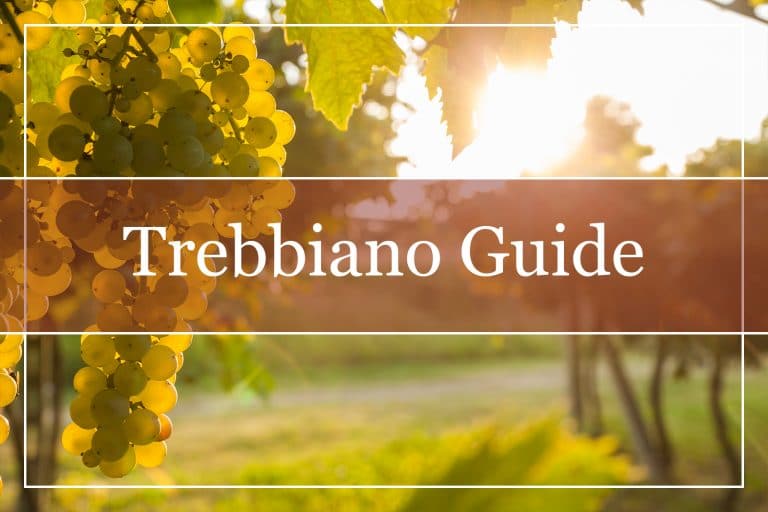 Trebbiano - The Ultimate Wine Guide - WinePros