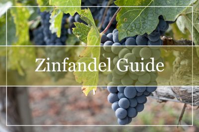A Comprehensive Guide To Zinfandel Wines - WinePros
