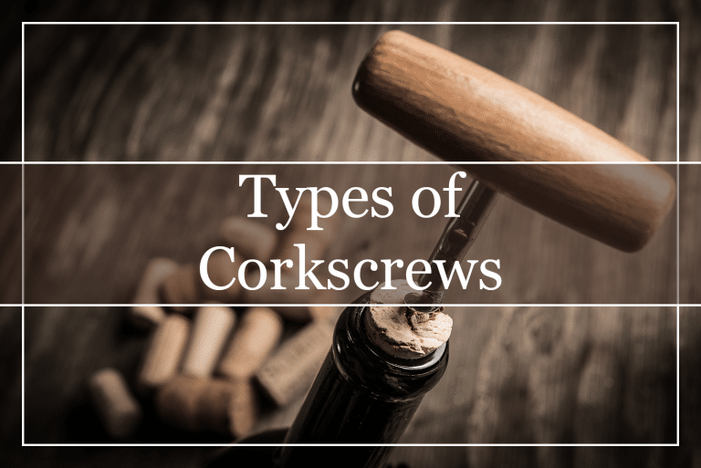 10 Types of Corkscrews Every Wine Lover Should Know (2023) - WinePros
