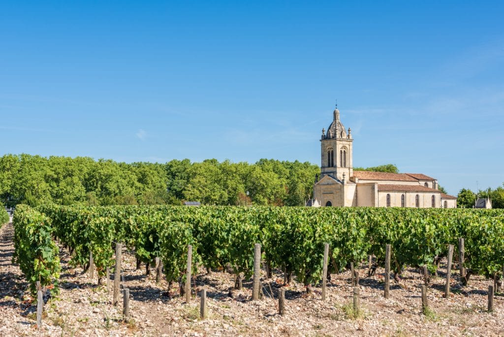 What Is AOC? Appellation D'origine Contrôlée? (2025) - WinePros