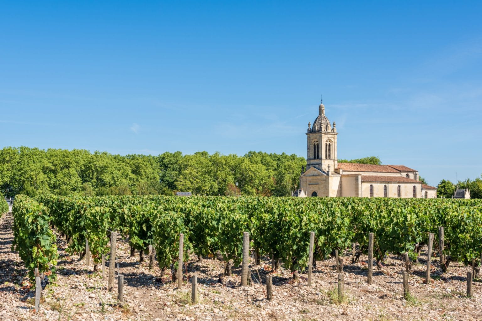 What Is AOC? Appellation D'origine Contrôlée? (2023) - WinePros