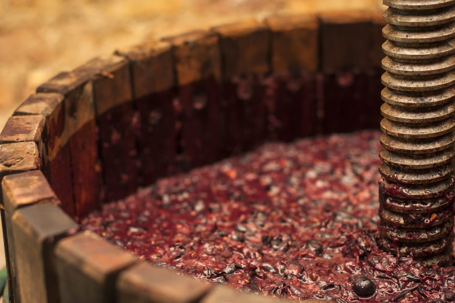 Winemaking - Your Complete Guide to Enology (2025) - WinePros