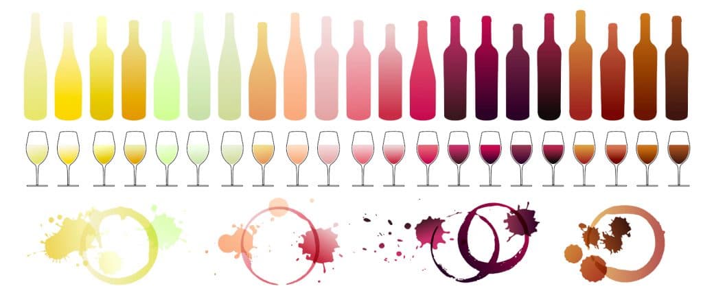 A Brief History of Wine (2025) - WinePros