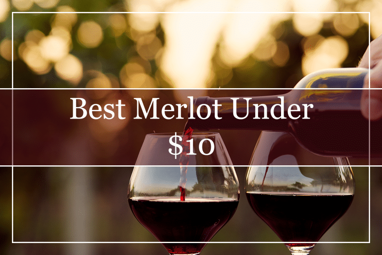 10 Best Merlot Wines Under $15 (2022) - That You'll Love!