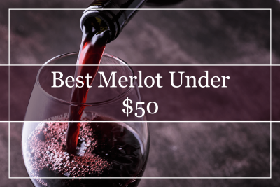 10 Best Merlot Wines Under $20 (2022) - That You'll Love!