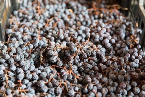 Your Essential Guide to Amarone Wine (2025) - WinePros