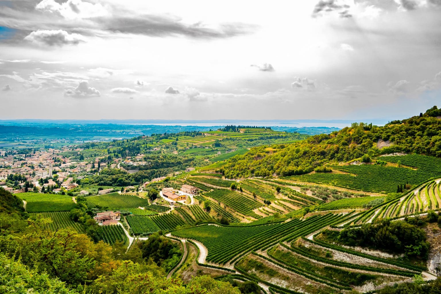 Your Essential Guide to Amarone Wine (2023) - WinePros