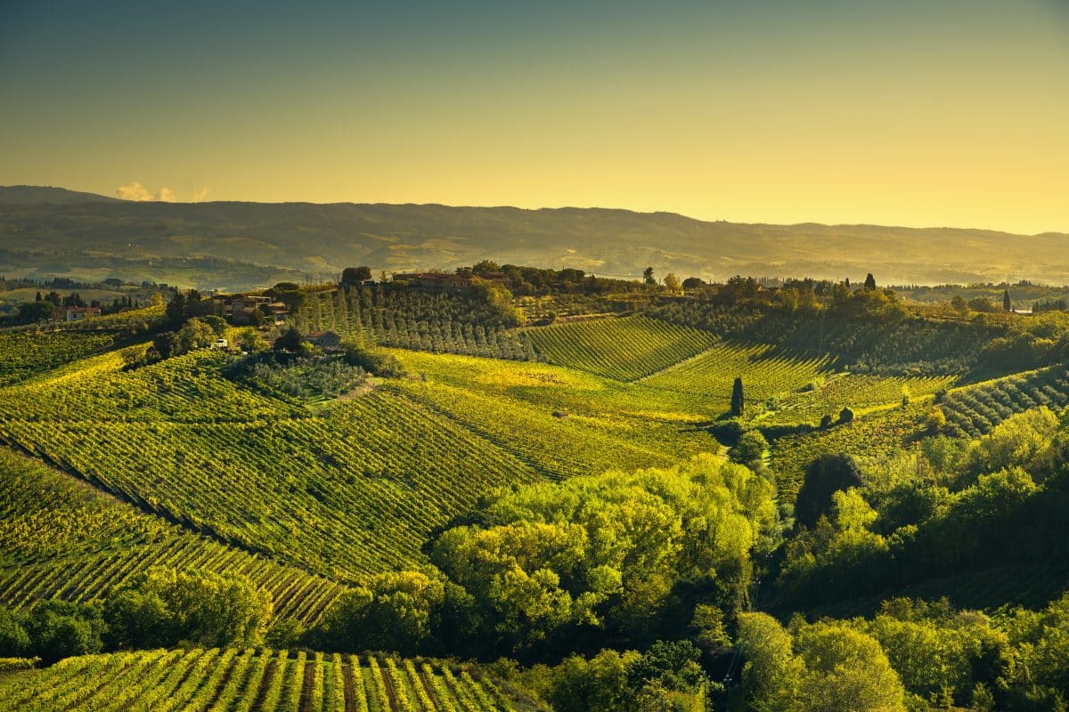 A Beginner’s Guide to Chianti Wine (2025) - WinePros