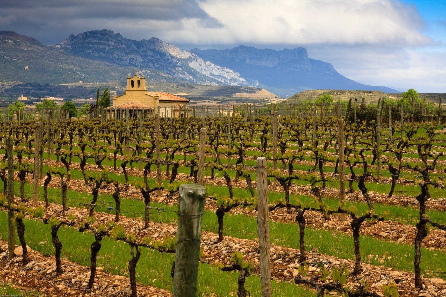 Rioja 101 – Everything You Need to Know (2023) - WinePros