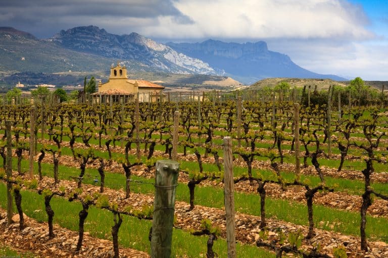 Rioja 101 – Everything You Need to Know (2023) - WinePros